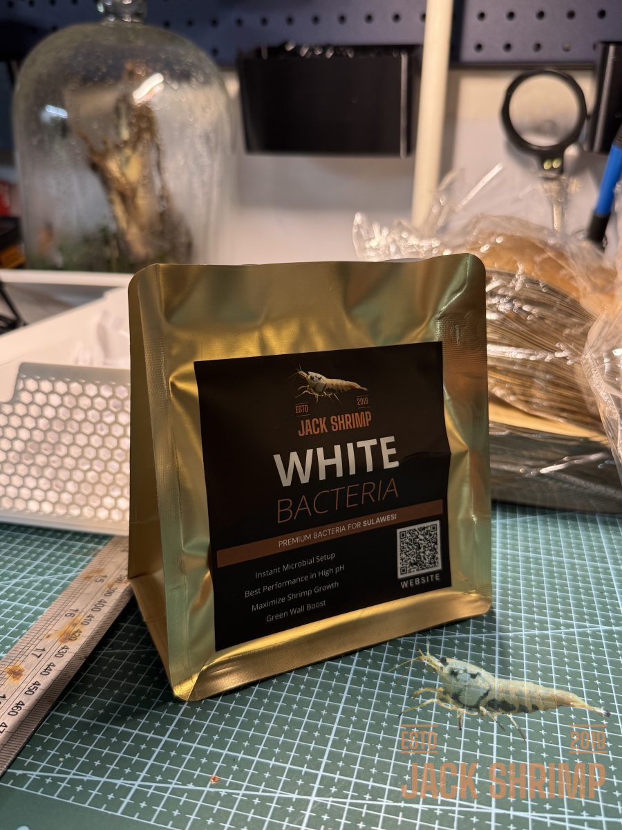 Gray Powder - Vi sinh cao cấp cho tép lạnh - Caridina Bacteria - Trại ...